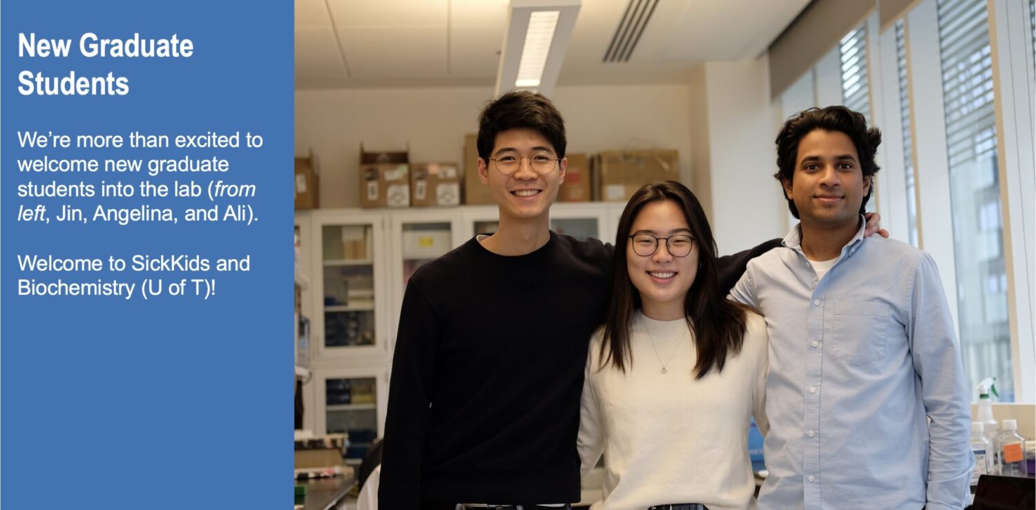 Freeman Lab | SickKids